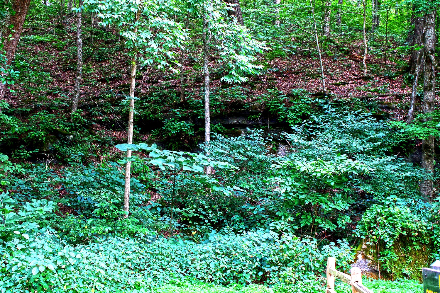 Spring mill state park caves - Spring Mill State Park