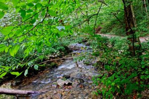 Spring Mill State Park Caves - Spring Mill State Park