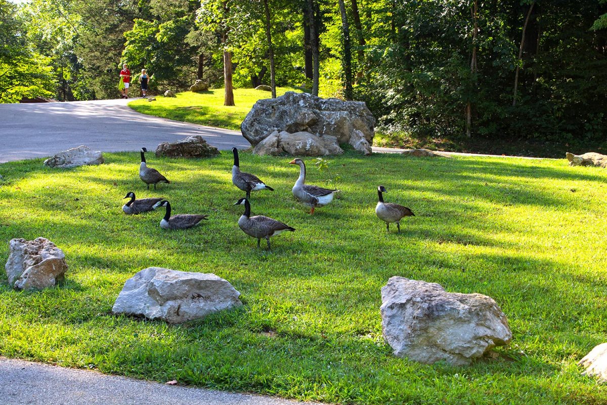 Spring mill state park lake - Spring Mill State Park